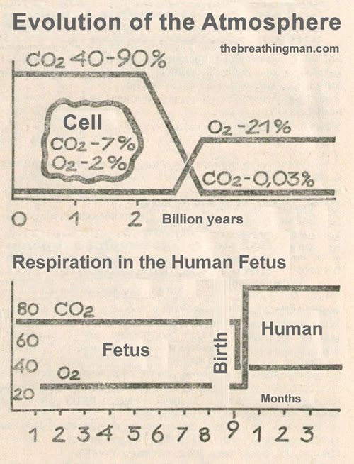 Buteyko Breathing Charts – The Breathing Man
