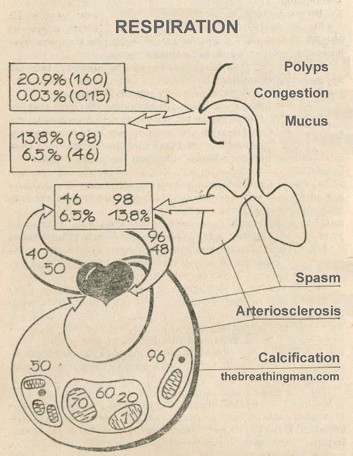Buteyko Breathing Charts – The Breathing Man