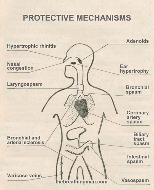 Buteyko Breathing Charts – The Breathing Man